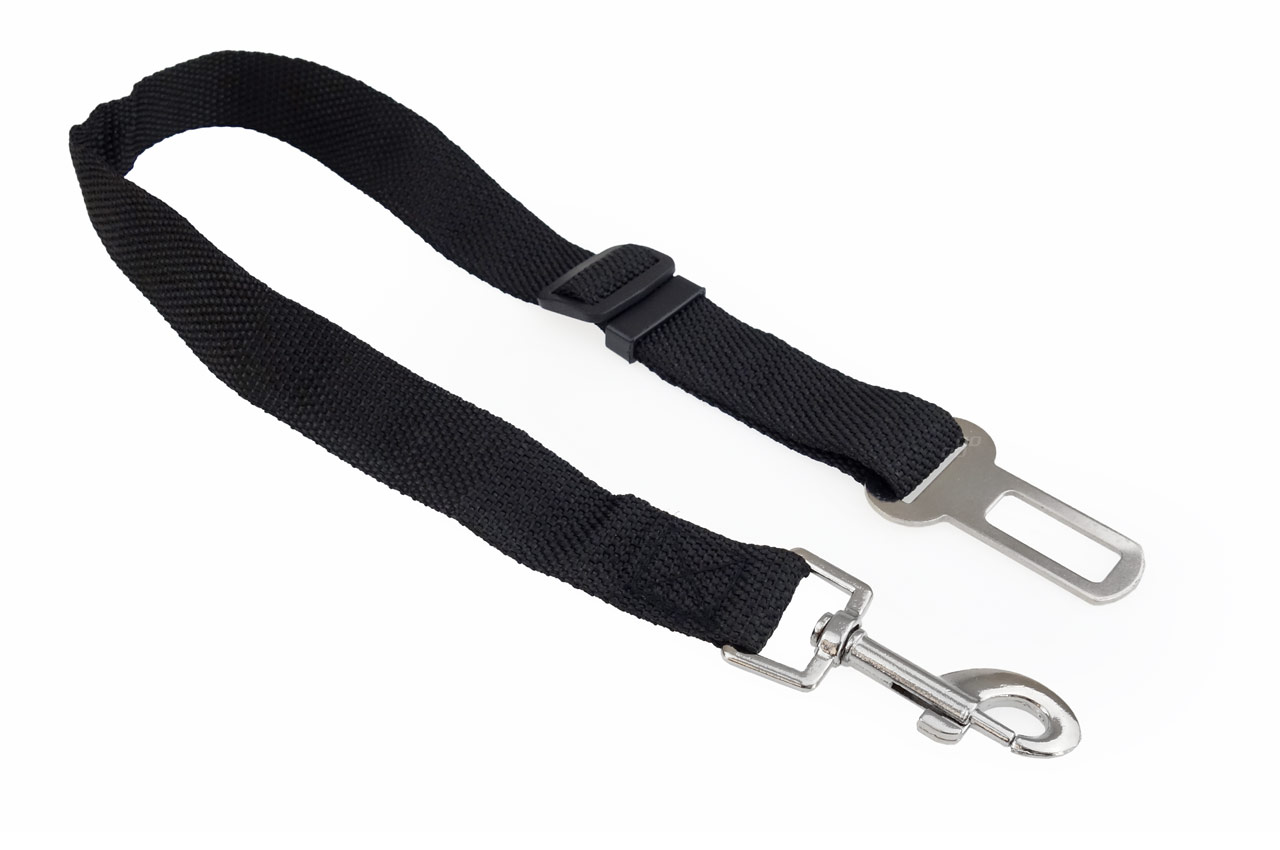 AMiO uzica za vezanje psa u autu za sigurnosni pojas - MK LED